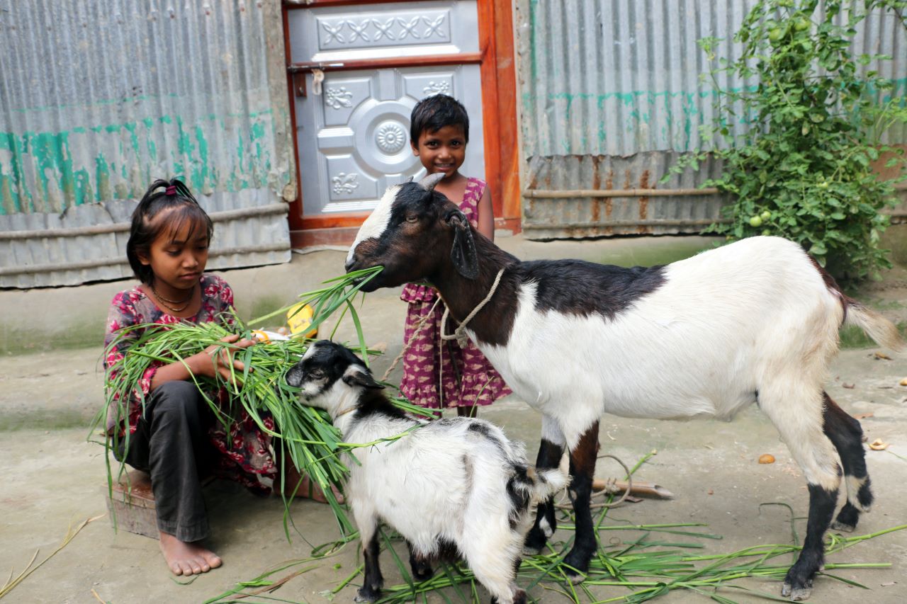 What do goats and child sponsorship have in common?